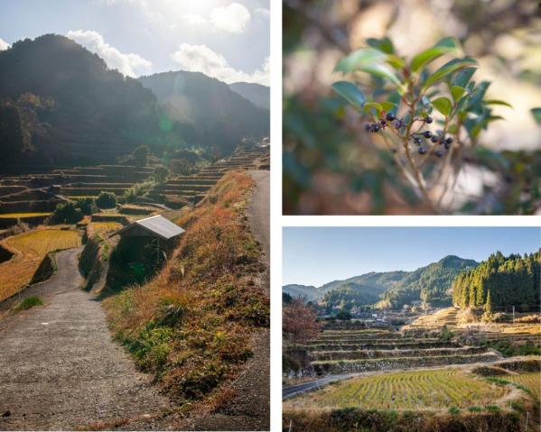 Ukiha, The Charming Spell Of The Countryside | Highlights | VISIT ...
