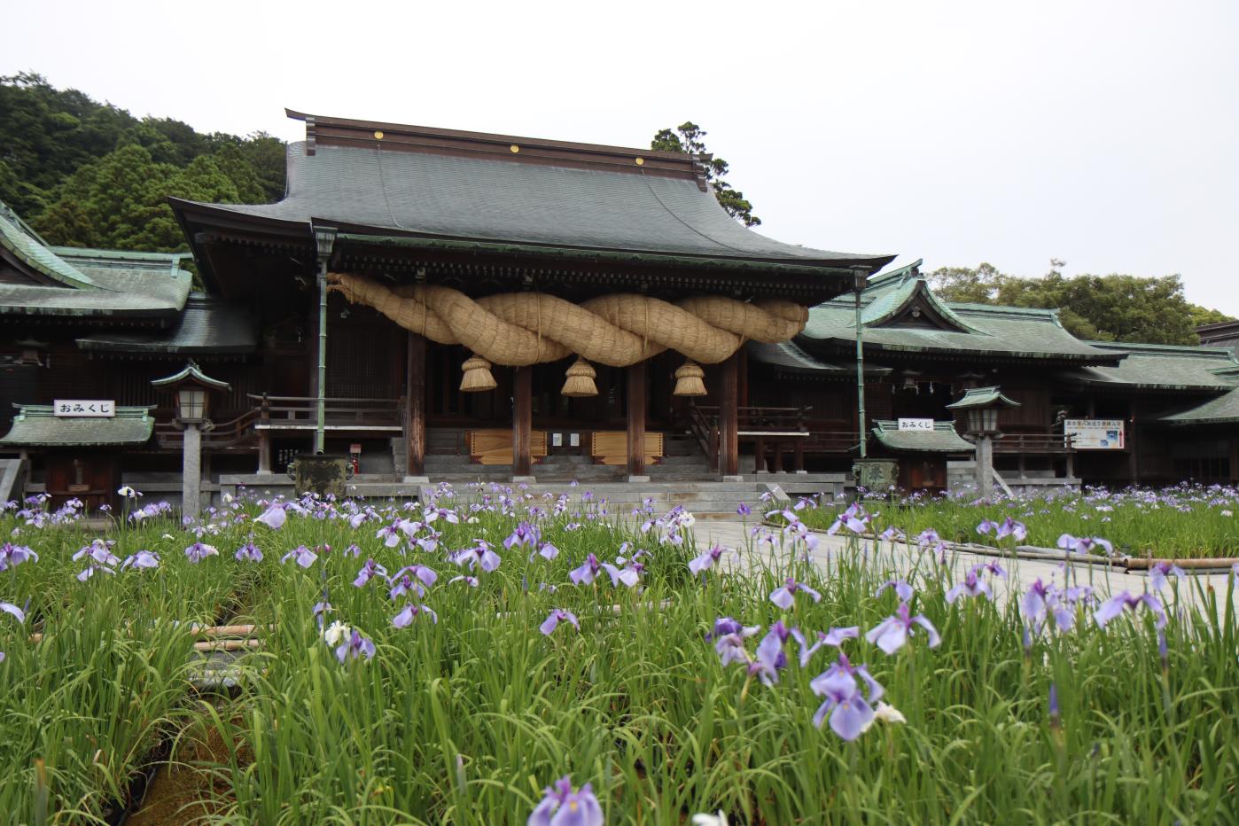 Four Seasons of Flowers in Fukuoka Prefecture | Highlights | VISIT ...
