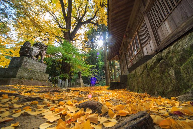【2025】Your Guide to Fukuoka Prefecture's Best Fall Foliage Destinations ...