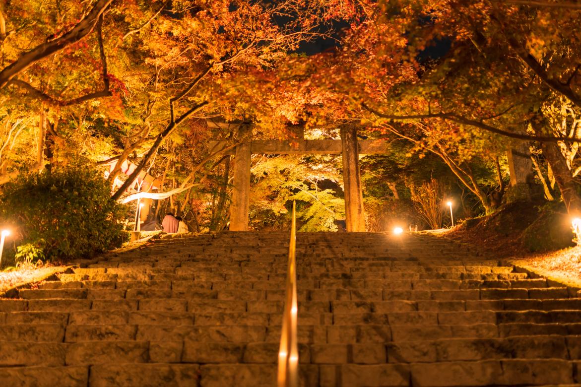 【2025】Your Guide to Fukuoka Prefecture's Best Fall Foliage Destinations ...