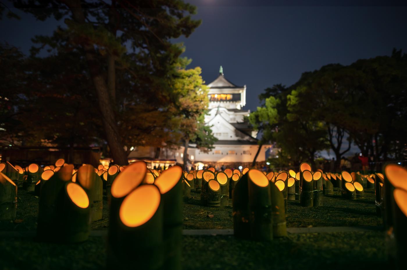 【2025-2026】Illumination and Light-up Spots in Fukuoka | Highlights ...