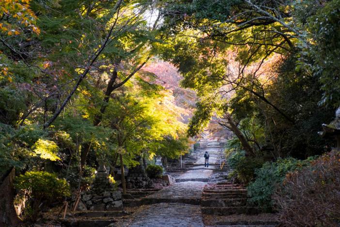 Mt. Hiko: Fukuoka's Sacred Mountain, Pilgrimage Route, and Autumn ...