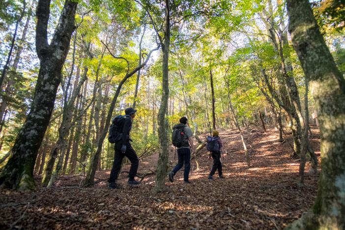 Mt. Hiko: Fukuoka's Sacred Mountain, Pilgrimage Route, and Autumn ...