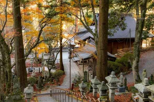 Raizan Sennyoji Daihioin Temple: | Highlights | VISIT FUKUOKA -Fukuoka ...