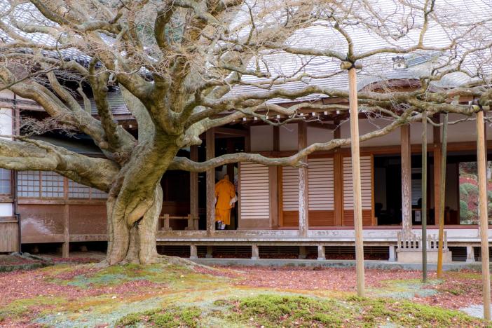 Raizan Sennyoji Daihioin Temple: | Highlights | VISIT FUKUOKA -Fukuoka ...
