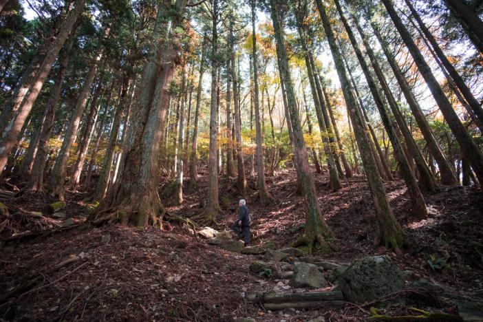 Mt. Hiko: Fukuoka's Sacred Mountain, Pilgrimage Route, and Autumn ...