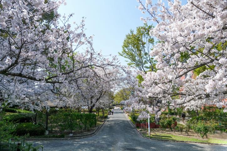 石橋文化センター | 観光スポット | 【公式】福岡県の観光/旅行情報サイト「クロスロードふくおか」