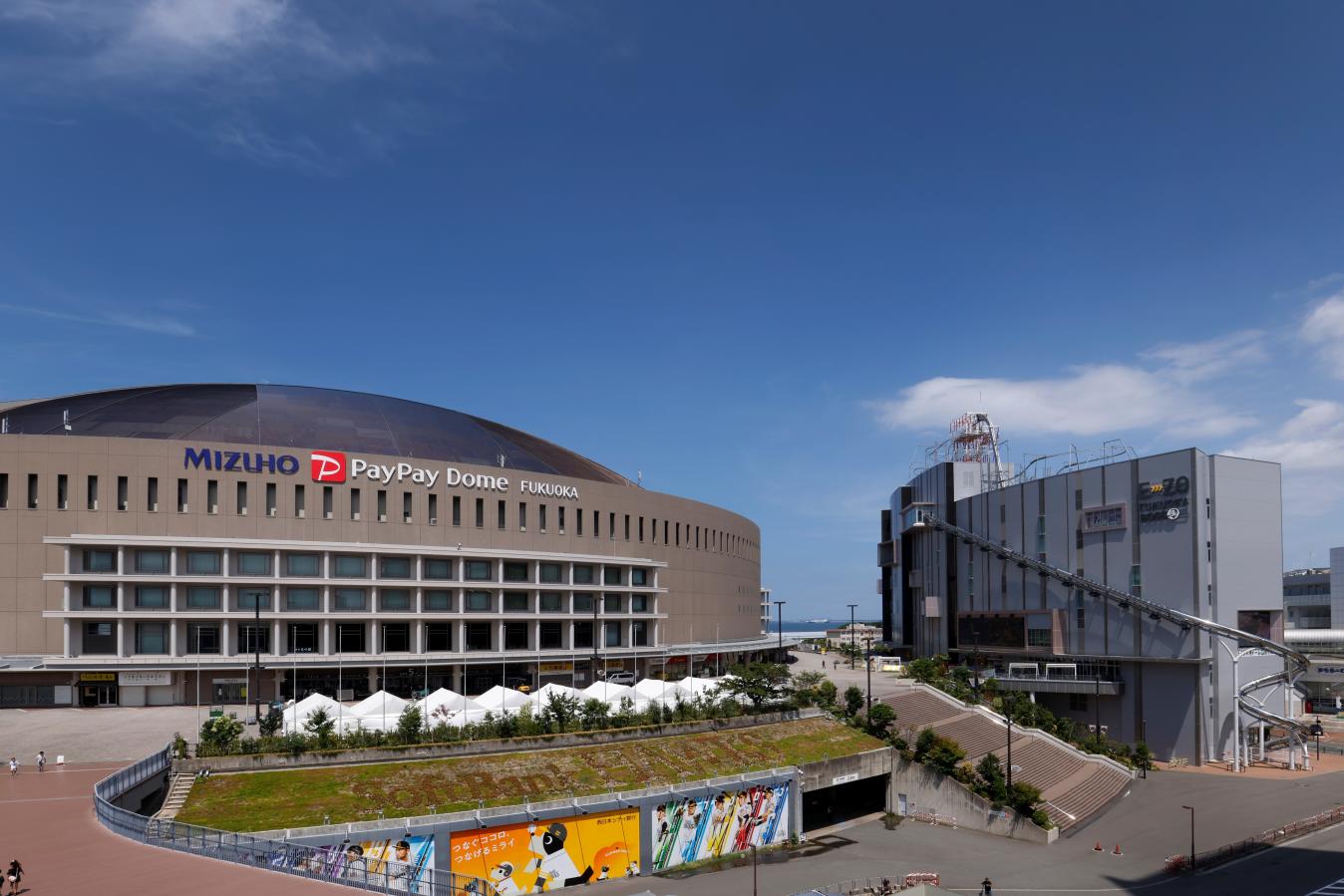 第14回 さくら薬局 みずほ PayPayドームリレーマラソン2025 | イベント | 【公式】福岡県の観光/旅行情報サイト「クロスロードふくおか」