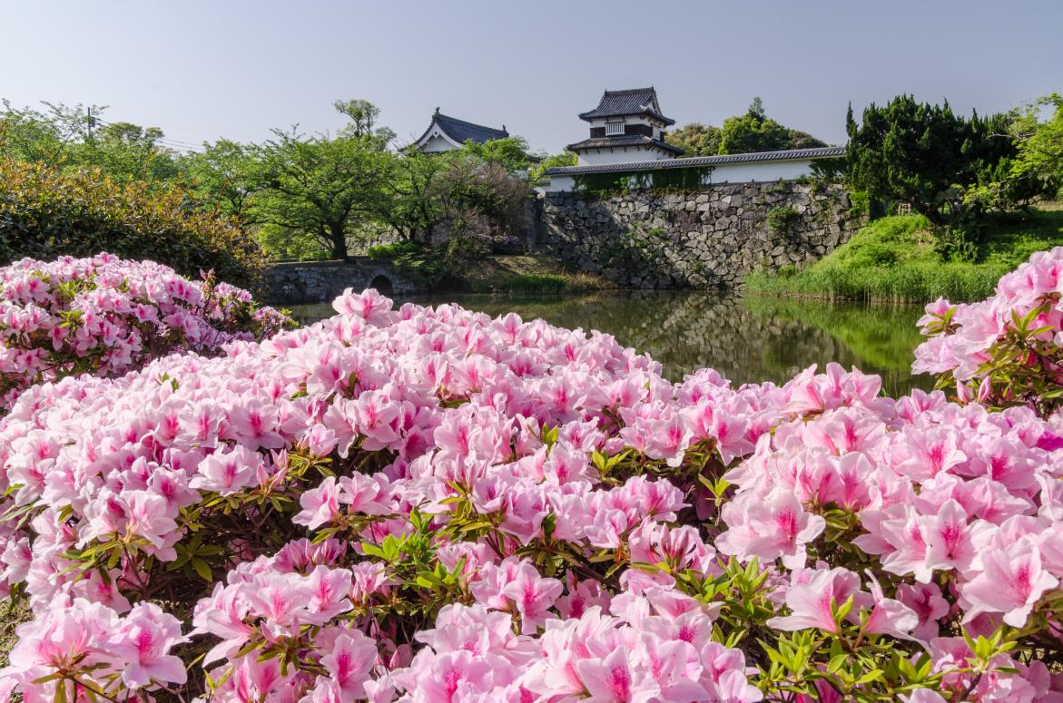 Ohori Park | See & Do | VISIT FUKUOKA -Fukuoka Prefecture Official Travel Guide