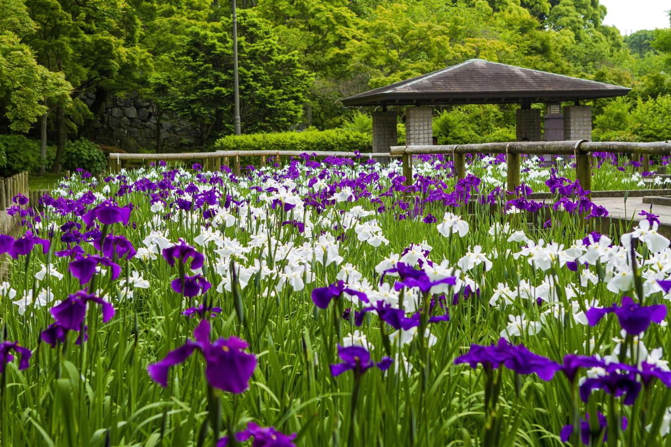 Fukuoka Castle Ruins | See & Do | VISIT FUKUOKA -Fukuoka Prefecture ...