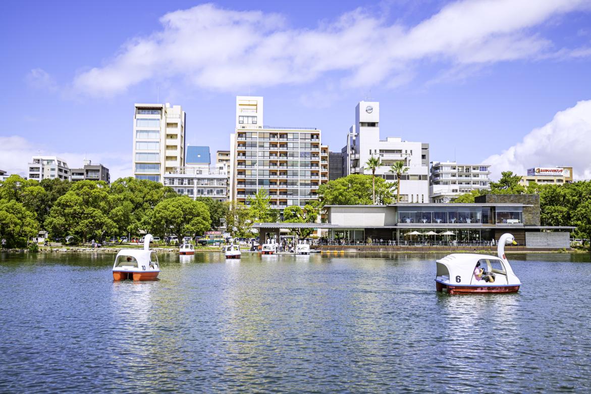 Ohori Park | See & Do | VISIT FUKUOKA -Fukuoka Prefecture Official Travel Guide