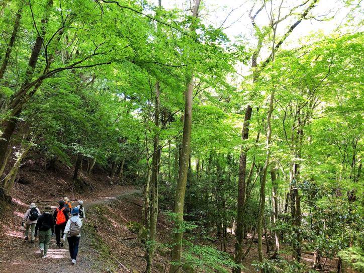 Mt. Hiko | See & Do | VISIT FUKUOKA -Fukuoka Prefecture Official Travel ...